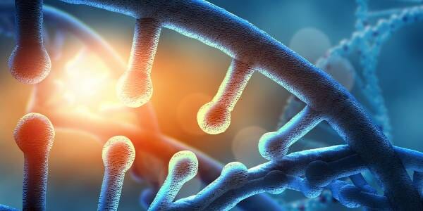 Technology Areas - Selene Development